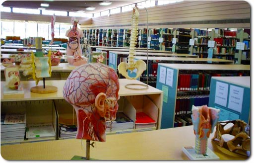 medical-library - The Stoke-on-Trent School of Anaesthesia